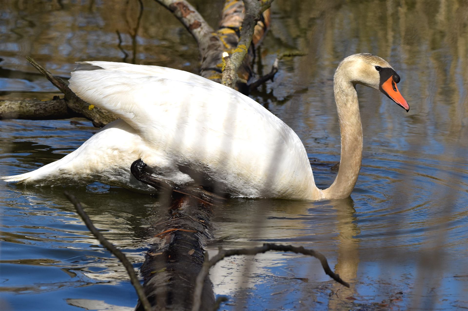 Achtung - Sprayer unterwegs!